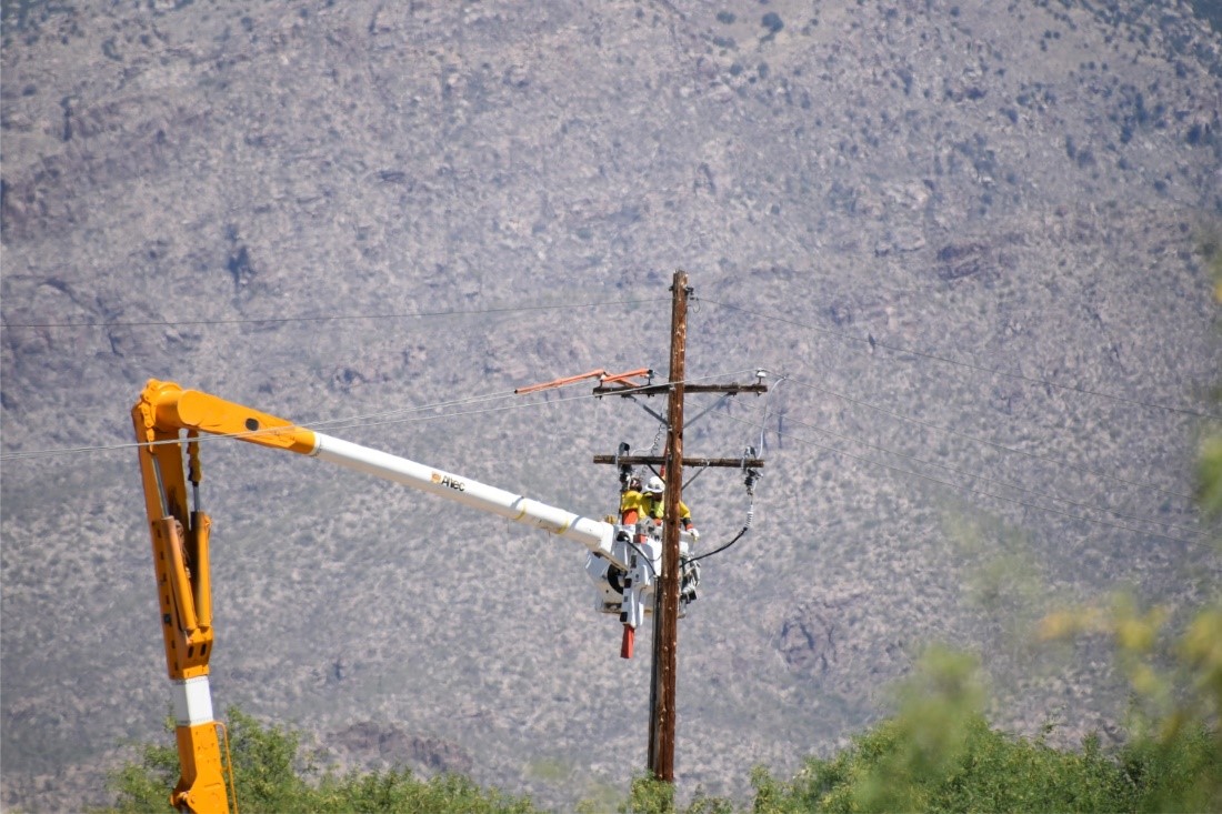 Cohort Connections: The Raptor Protection Program – Pima Master Naturalists