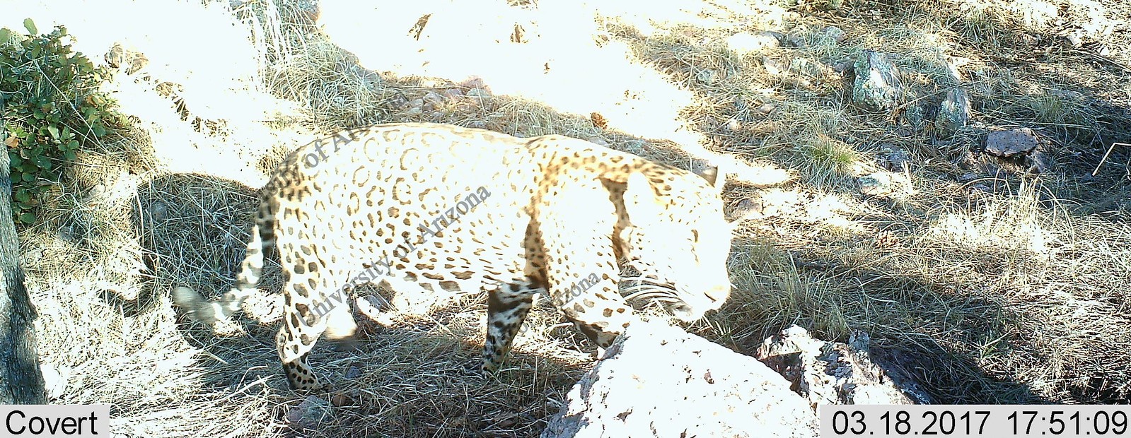 Leaving the Huachucas – Pima Master Naturalists